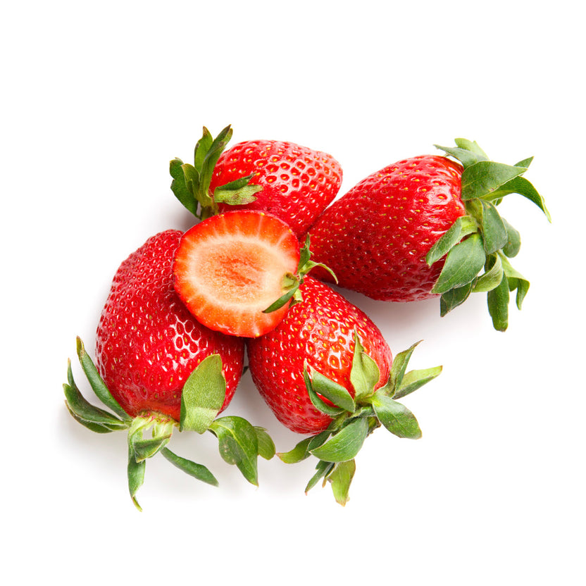 Best Weight Loss Shakes | Premium Meal Replacement Shakes – Healthy Trim