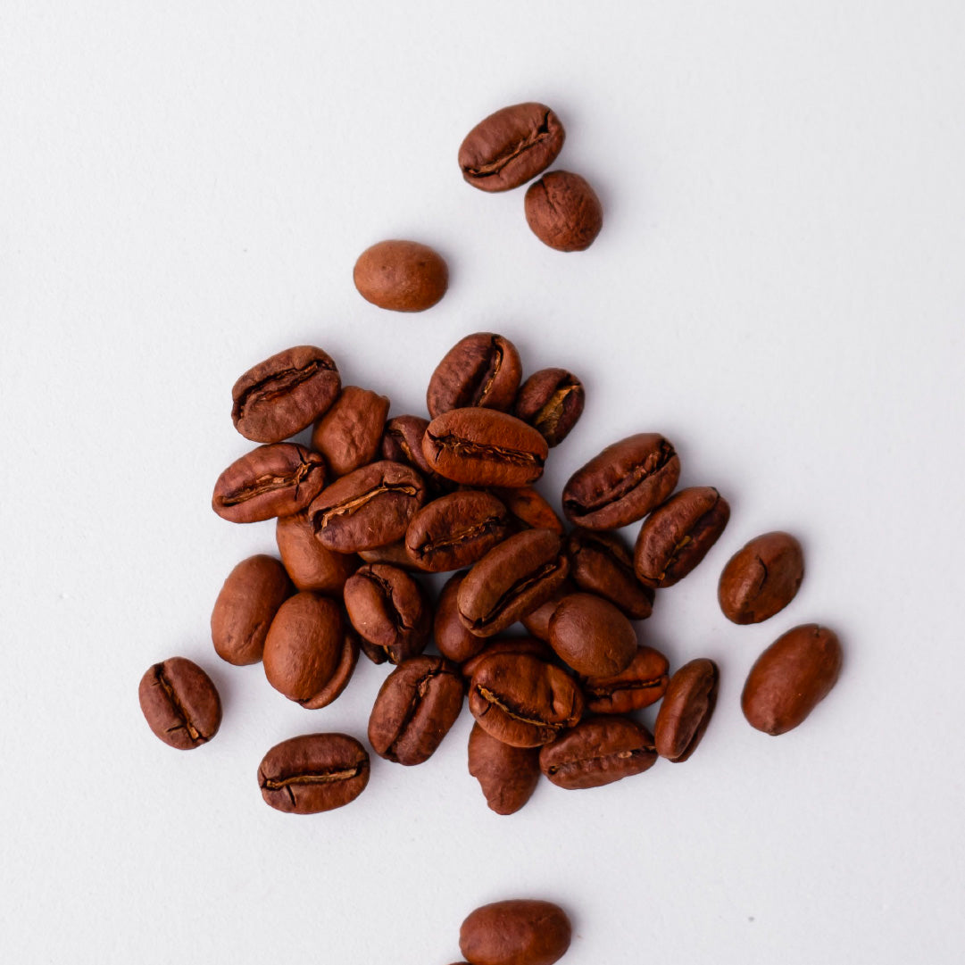 Best Weight Loss Shakes | Premium Meal Replacement Shakes – Healthy Trim